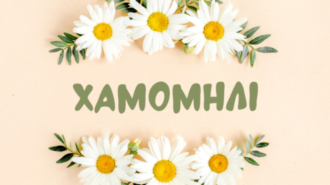 ΙΔΙΟΤΗΤΕΣ ΧΑΜΟΜΗΛΙΟΥ – ΜΑΡΙΑ ΣΤΑΚΑΚΗ – ΔΙΑΤΡΟΦΙΚΗ ΥΠΟΣΤΗΡΙΞΗ